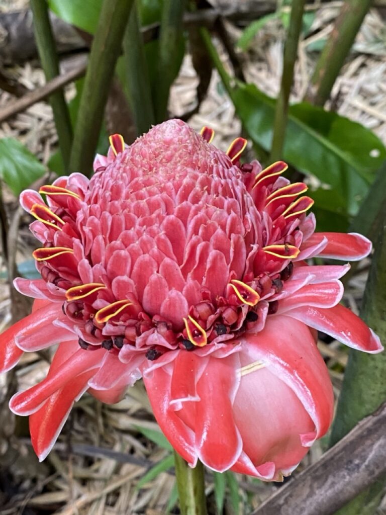 Book a Tour - All Private Tours